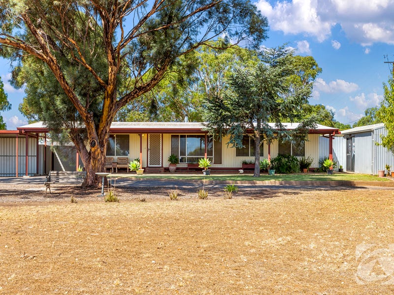 320 Nurse Road, Freeling, SA 5372 - Property Details