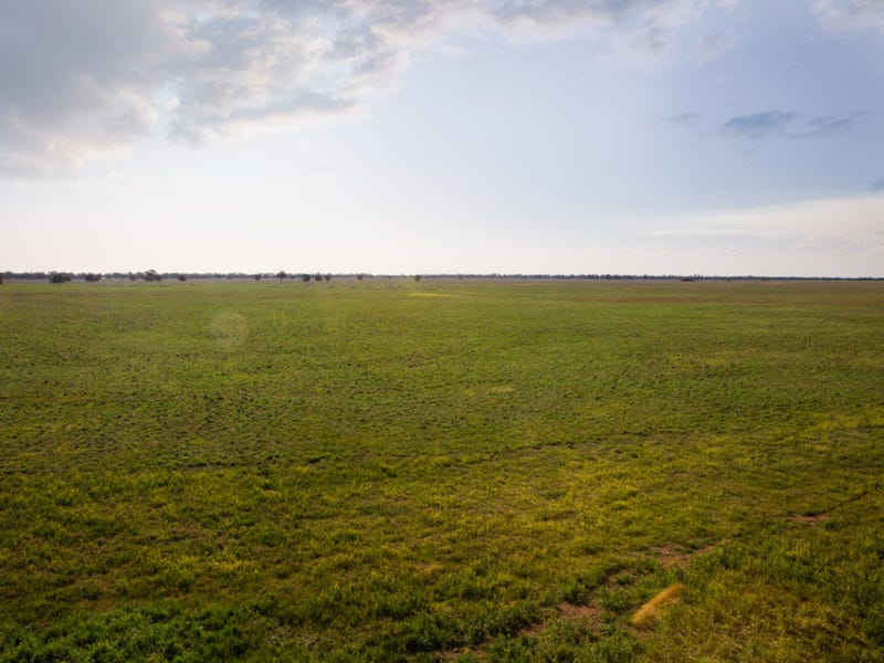 . NEWHAVEN, Burcher, NSW 2671 - Cropping for Sale - realestate.com.au
