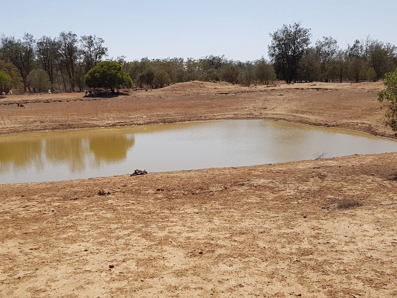 1691 Gundabloui Road, Collarenebri, NSW 2833 - Property Details