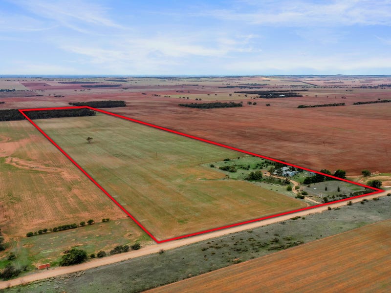 538 Stock Route Road, Robertstown, SA 5381 - Property Details