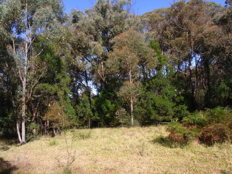 LOT 21 MT DARRAGH ROAD, Lochiel, NSW 2549 - Property Details