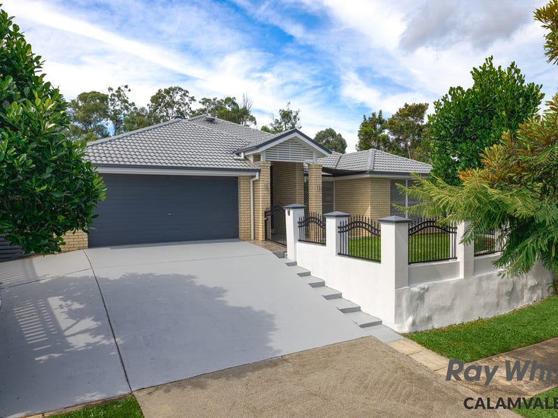 19 Tweeddale Circuit, Drewvale, QLD 4116 - realestate.com.au