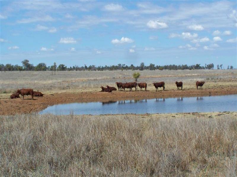 - Amby - Walhallow Road, Roma, Qld 4455 - Property Details
