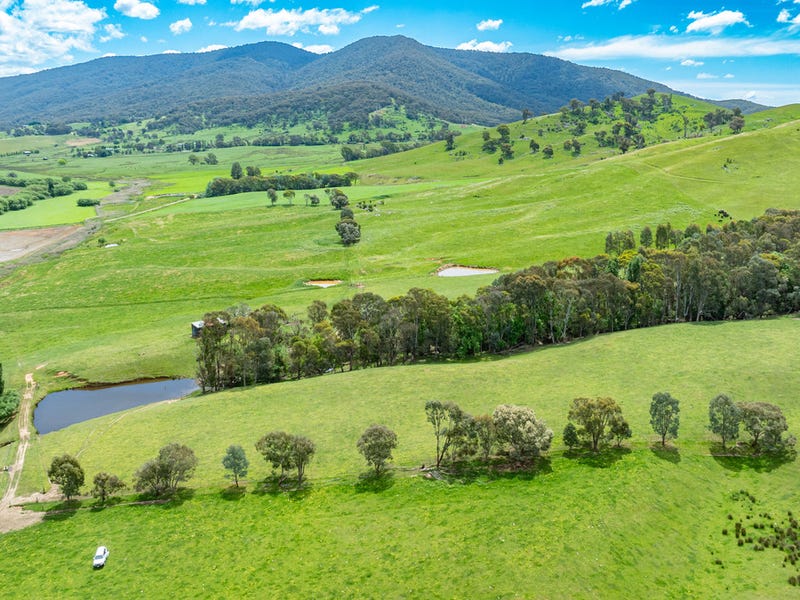 Swamp Lane, Dederang, Vic 3691 - Livestock for Sale - realestate.com.au