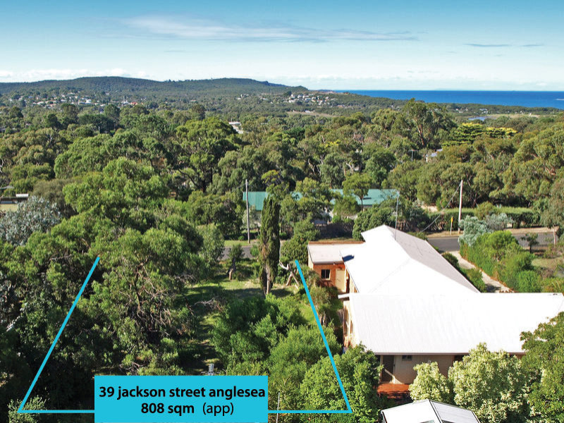 41 Jackson Street, Anglesea, VIC 3230 - realestate.com.au