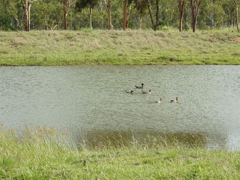 Property 7934434, Milman, Qld 4702 - Property Details