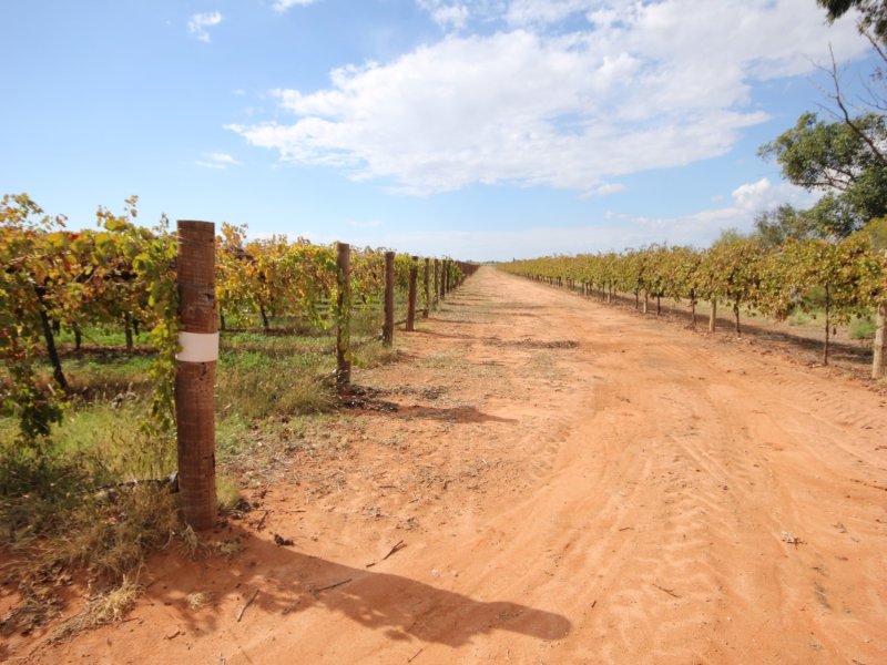 89 Channel Road, Merbein, Vic 3505 - Property Details