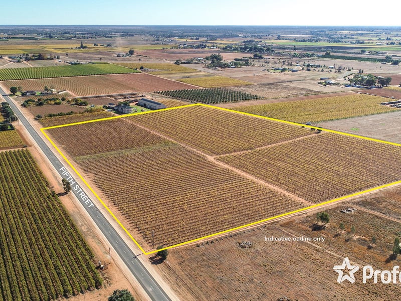 194 Fifth Street, Merbein, Vic 3505 - Viticulture/vineyard for Sale ...