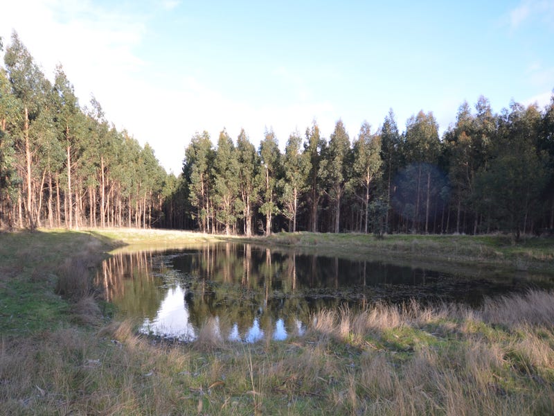"Crick" Graveyard Hill Road, Raglan, Vic 3373 - Property Details