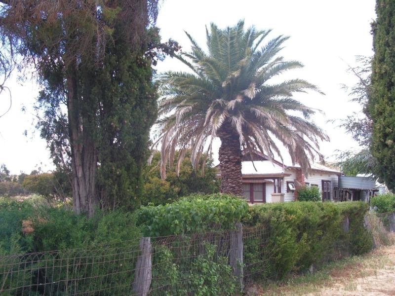 1390 Newstead-yandoit Road, Yandoit, Vic 3461 - Property Details