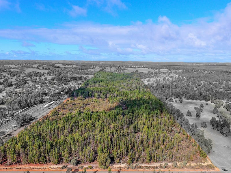 399 Cook Road, Mooliabeenee, WA 6504 - realestate.com.au