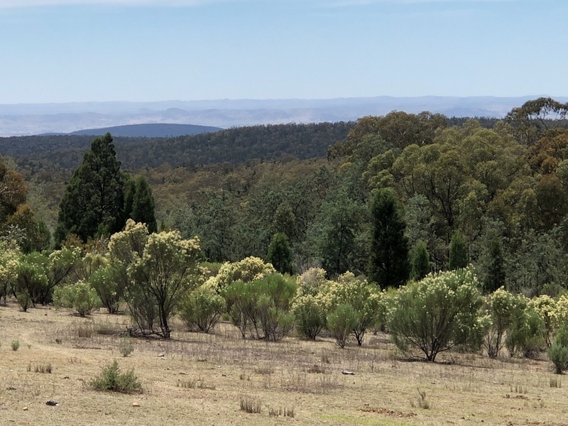 Lot 5 Warrumba Road, Bumbaldry, NSW 2794 - Property Details