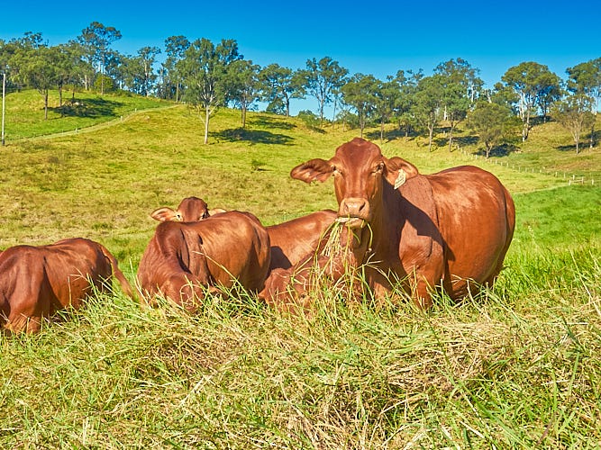 2 Jones St, Woolooga, Qld 4570 - Property Details