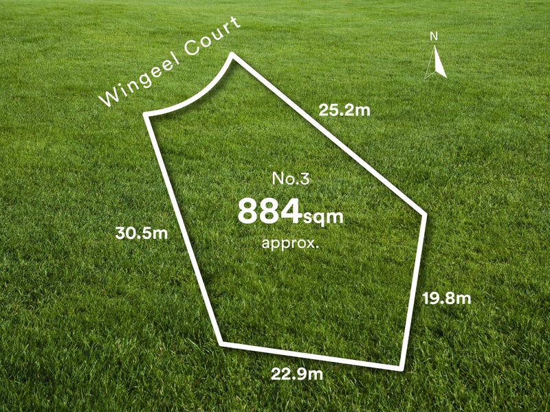 3 Wingeel Court, Leopold, VIC 3224 - realestate.com.au