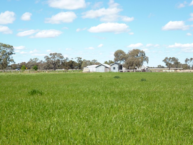 Carwardines Road, Cohuna, Vic 3568 - Property Details