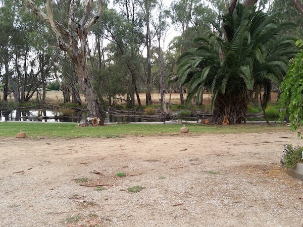 188 North Barham Road, Barham, NSW 2732 - realestate.com.au
