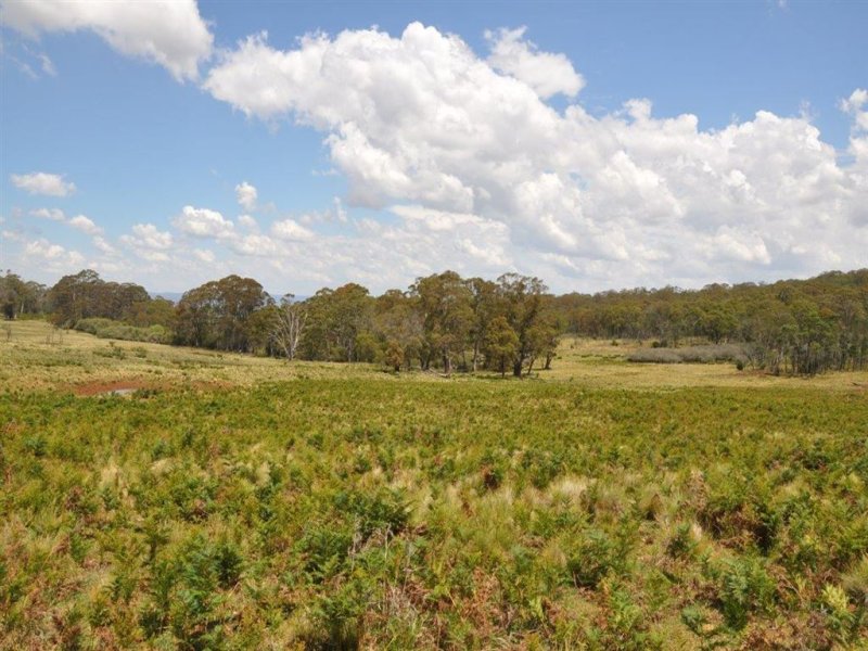 1951 Pages Creek Rd, "Limberlost", Ellerston via, Scone, NSW 2337 ...