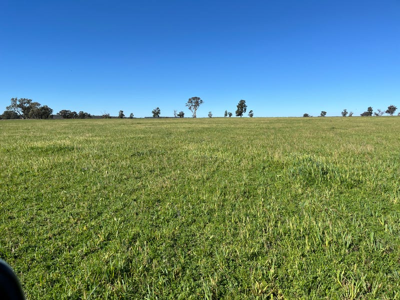 Real Estate & Property for Sale in Binnaway, NSW 2395 - realestate.com.au