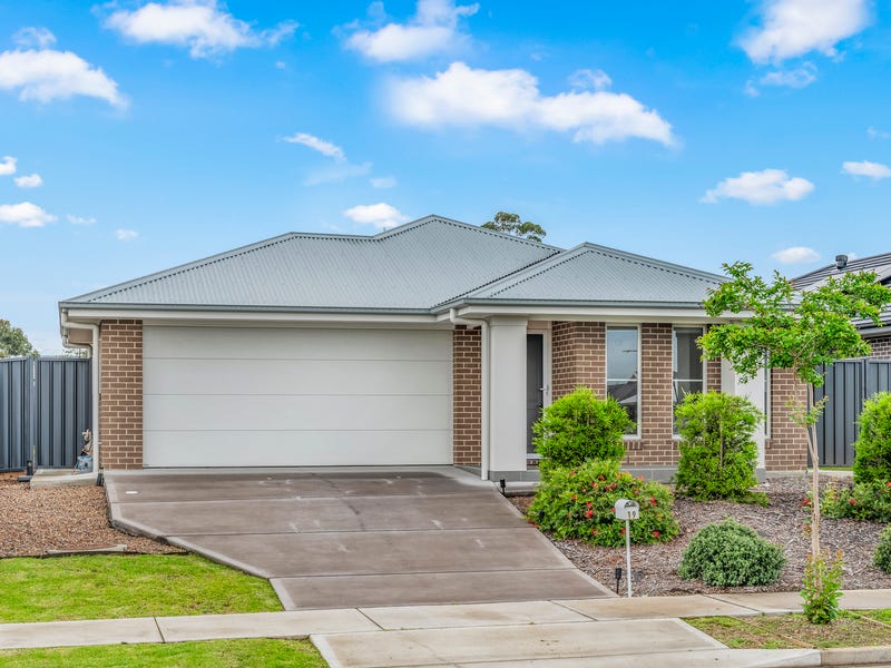 19 Springfield Drive, Lochinvar, NSW 2321 - Property Details