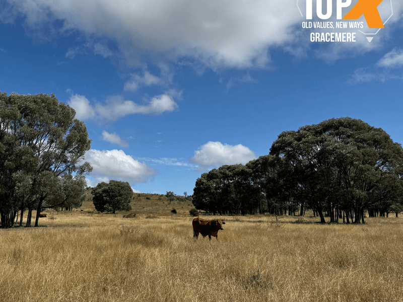 Blanche Rd, Garnant, Qld 4702 - Property Details