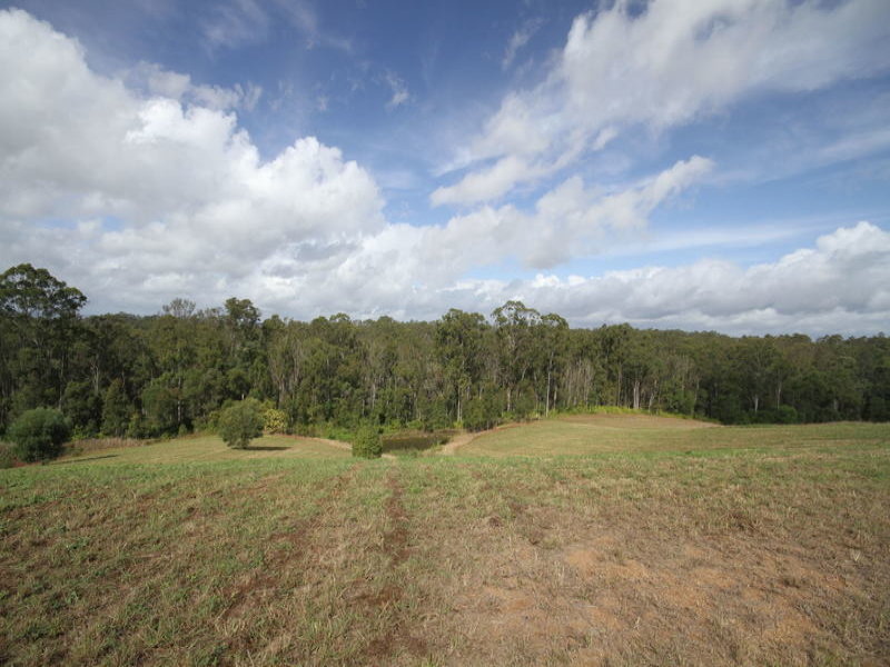 92 Forest Ridge Drive, Tamaree, QLD 4570 - realestate.com.au