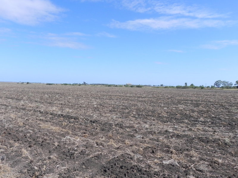 351 Yarranlea Road, Pittsworth, Qld 4356 - Property Details