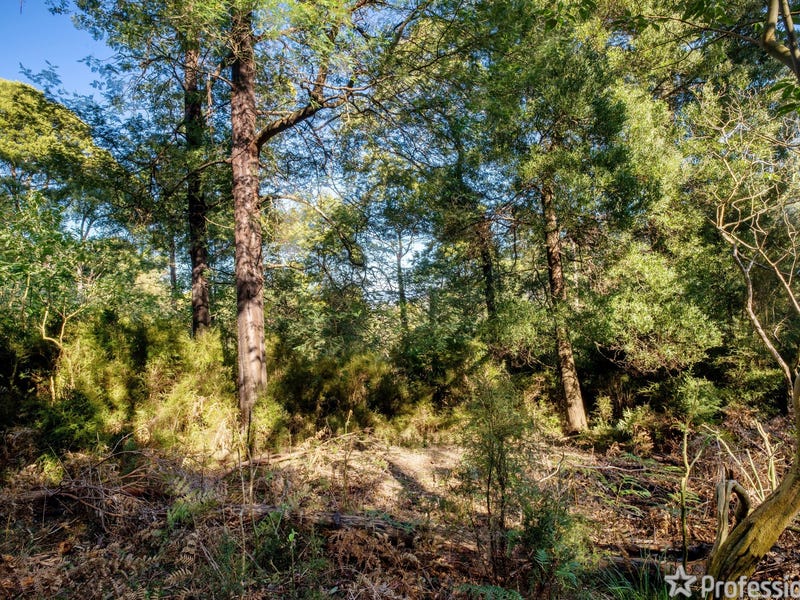 9 Machendry Road, Don Valley, VIC 3139 - realestate.com.au