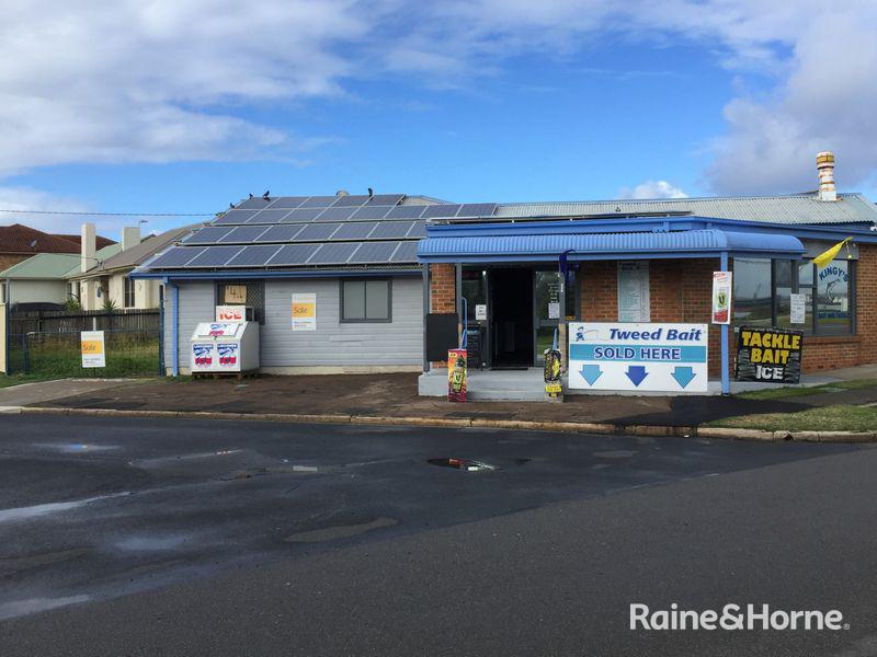 224 FULLERTON STREET, Stockton, NSW 2295 - Property Details