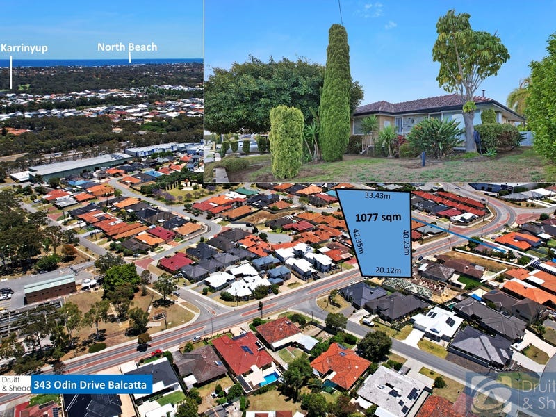 343 Odin Drive, Balcatta, WA 6021 - Property Details