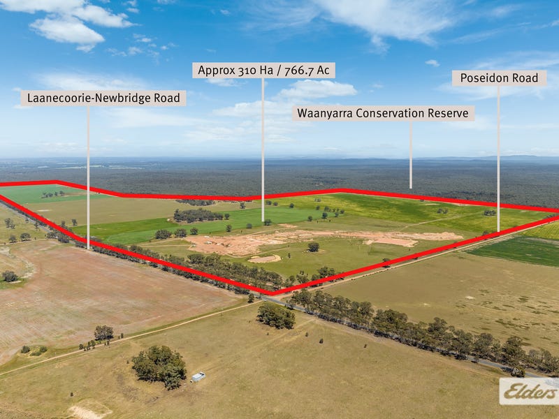 Laanecoorie-Newbridge Road, Newbridge, Vic 3551 - Other for Sale ...