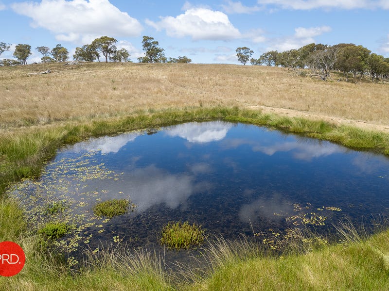 2287 Bungendore Road, Tarago, NSW 2580 - Property Details