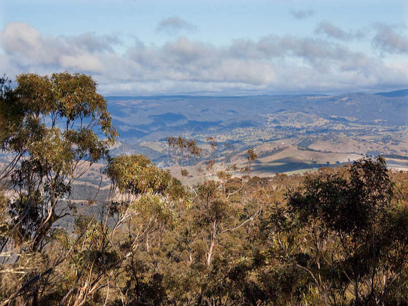 19 Mount Piddington Road, Mount Victoria, NSW 2786 - realestate.com.au