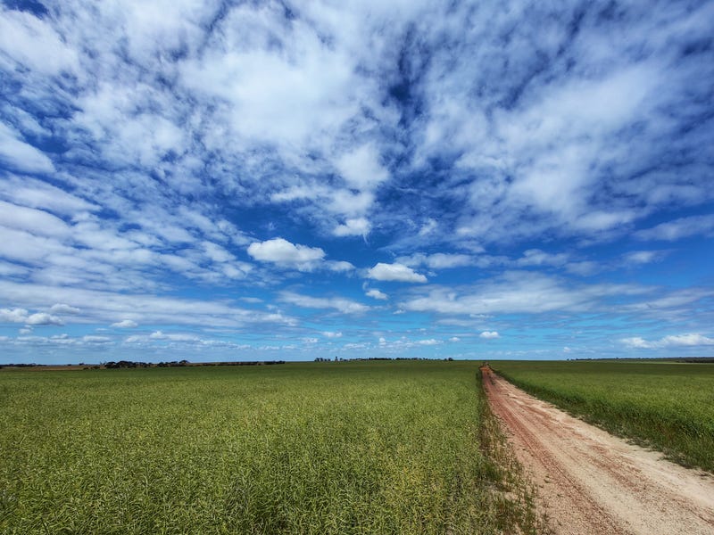 4268 Newdegate-Pingrup Road, Pingrup, WA 6343 - Property Details