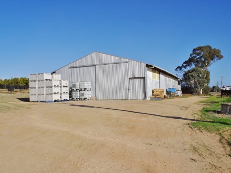 155 Cucumunga Street, Renmark West, SA 5341 - realestate.com.au