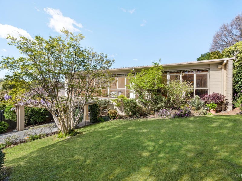 40 Fintonia Street, Balwyn North, VIC 3104 - realestate.com.au