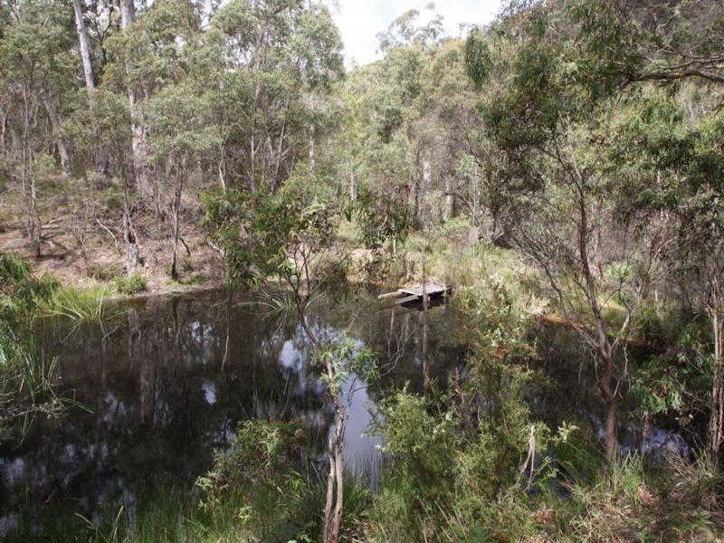 195 Griffins Road, Wyanbene via, Braidwood, NSW 2622 - Property Details