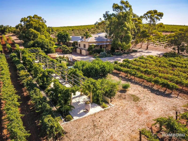 450 Seppeltsfield Road, Marananga, SA 5355 - Property Details