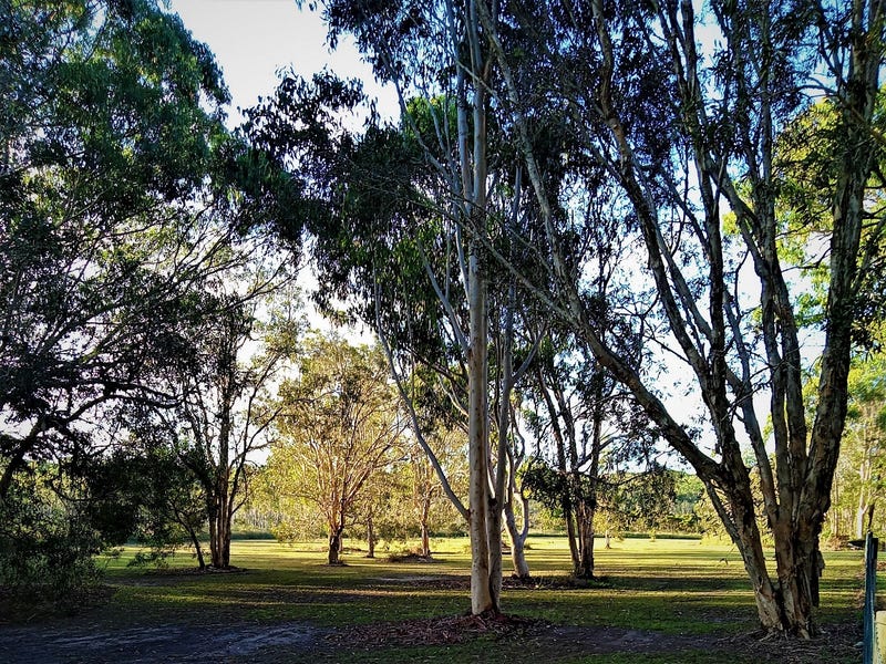 43 Rutch Road, Doonan, QLD 4562 - realestate.com.au