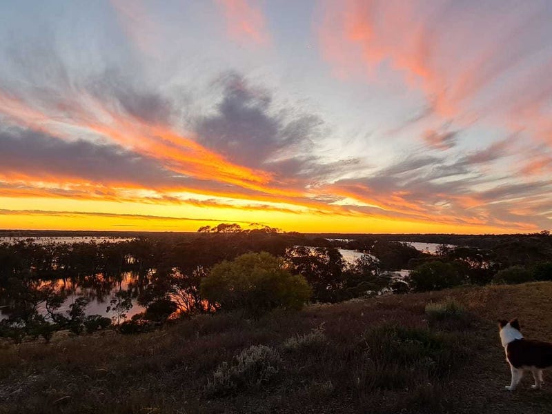 Houses for Sale in SA - realestate.com.au