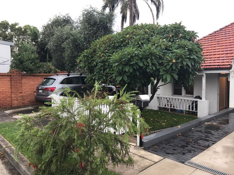 23 Violet Street, Bronte, NSW 2024 - realestate.com.au