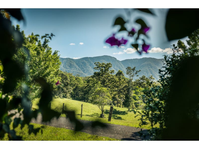 930 promised land Road, Bellingen, NSW 2454 - Farmlet for Sale ...