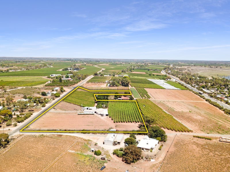 42 Gaskell Road, Barmera, SA 5345 - Property Details