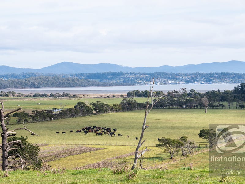 . Brodies Road, Rowella, Tas 7270 - Property Details