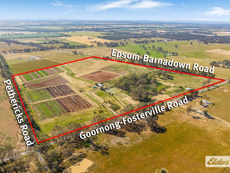 421 Goornong-fosterville Road, Goornong, VIC 3557 - realestate.com.au