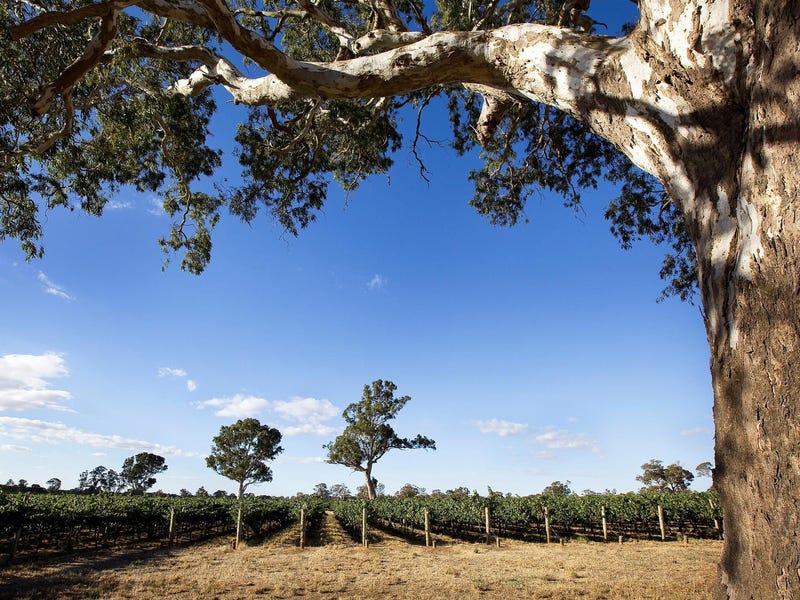 394 Hynam Caves Road, Hynam, SA 5262 - realestate.com.au