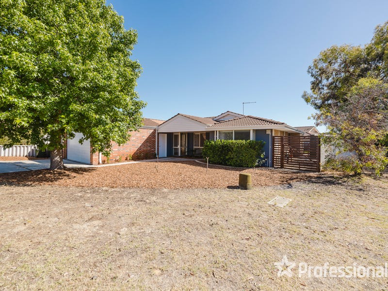 42 Frangipani Loop, Marangaroo, WA 6064 - realestate.com.au