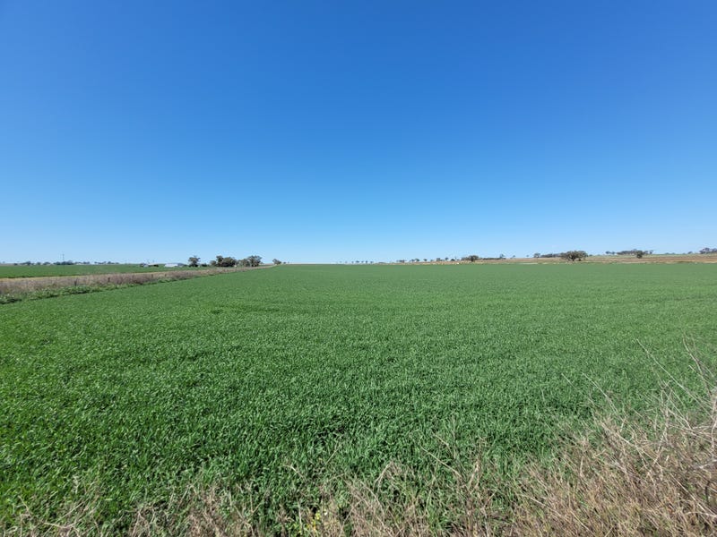 167 Stark Road, Talgai, Qld 4362 - Property Details