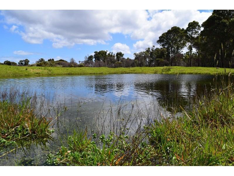 Lot 8871 Jay Road, Northcliffe, WA 6262 - Property Details