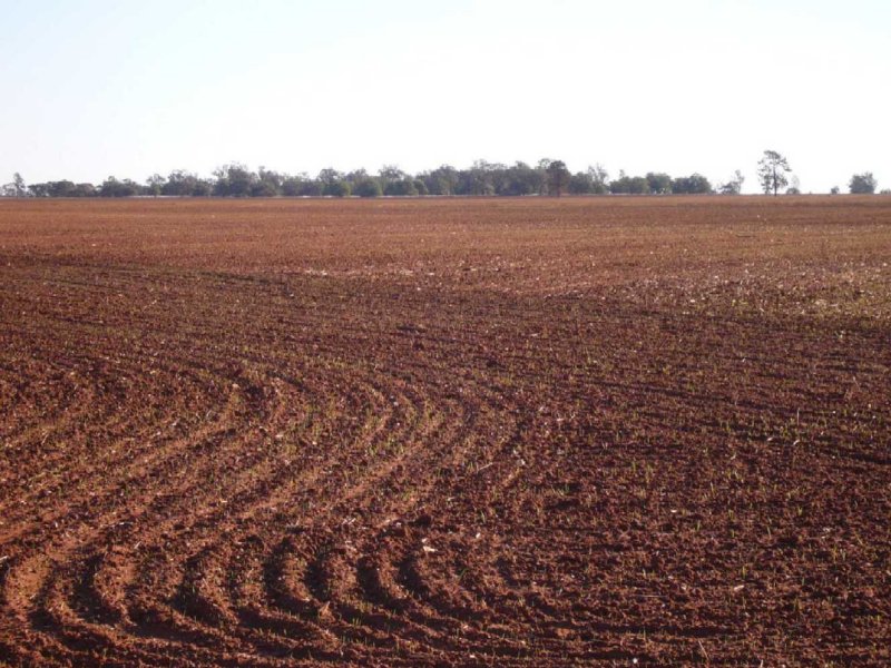 Property 7127324, Tabbita, NSW 2652 - Property Details