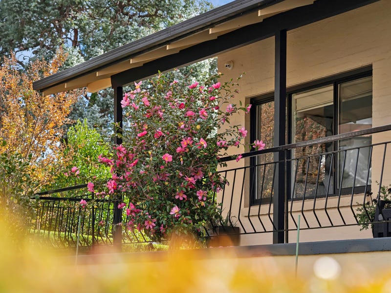 99 Doyle Terrace, Chapman, ACT 2611 - Property Details